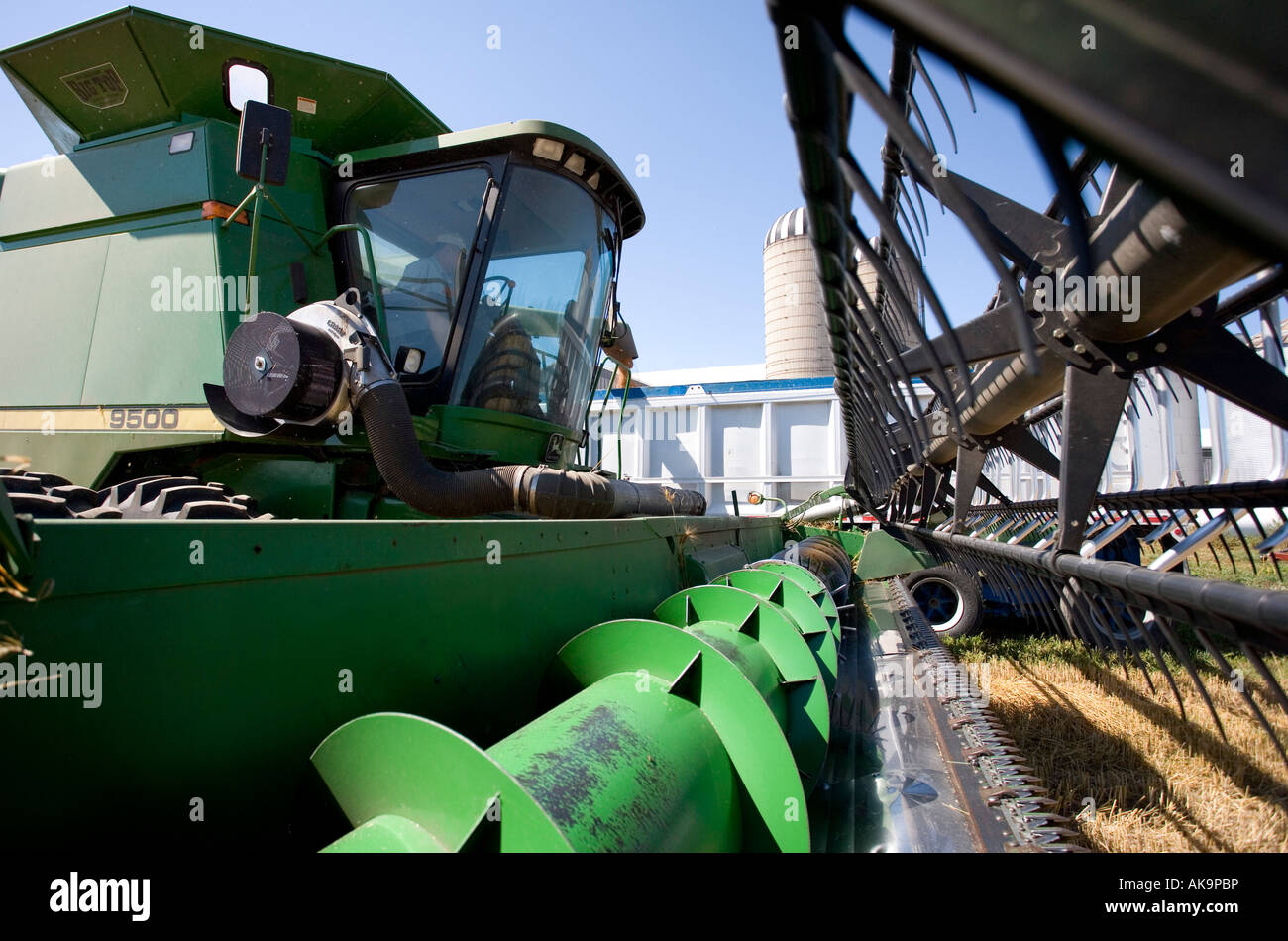 Farmer loading harvested wheat hi-res stock photography and images - Alamy