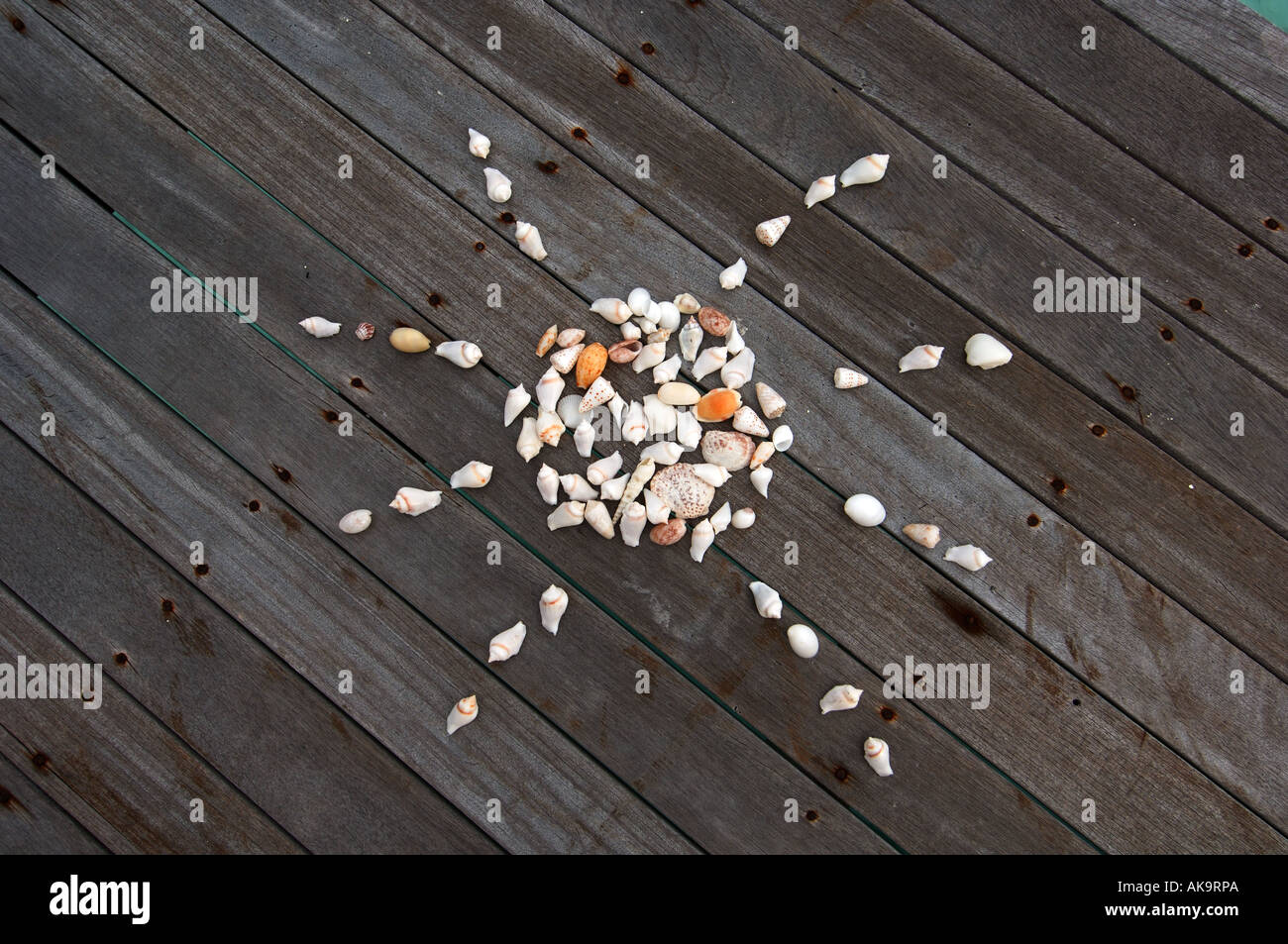 Maldives a sun made of sea shells Stock Photo - Alamy