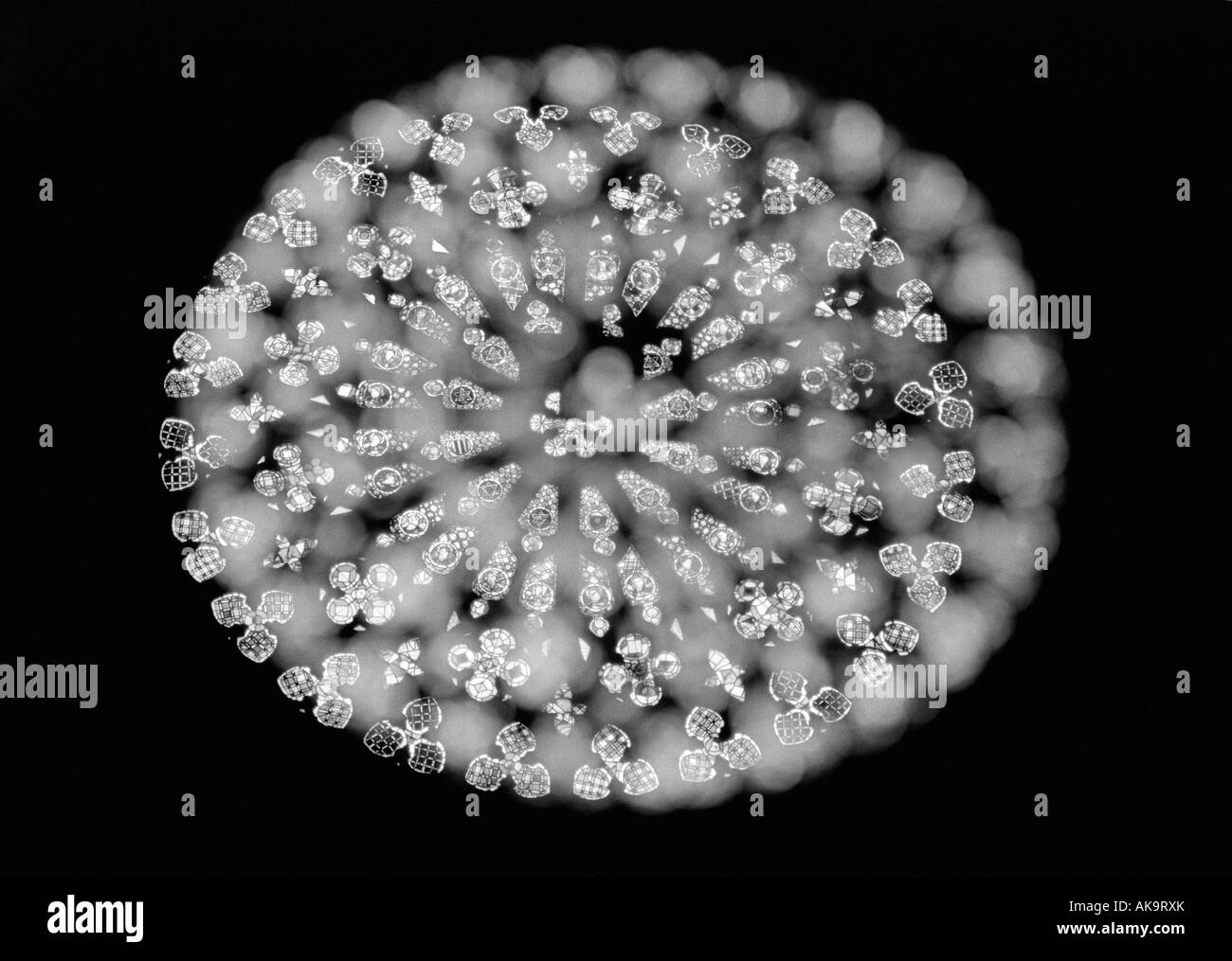 Rosette and cross hi-res stock photography and images - Alamy