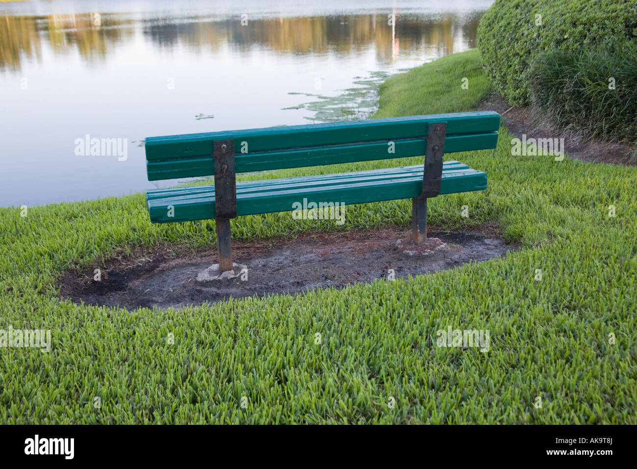 An empty bench overlooking a lake in Florida Stock Photo - Alamy