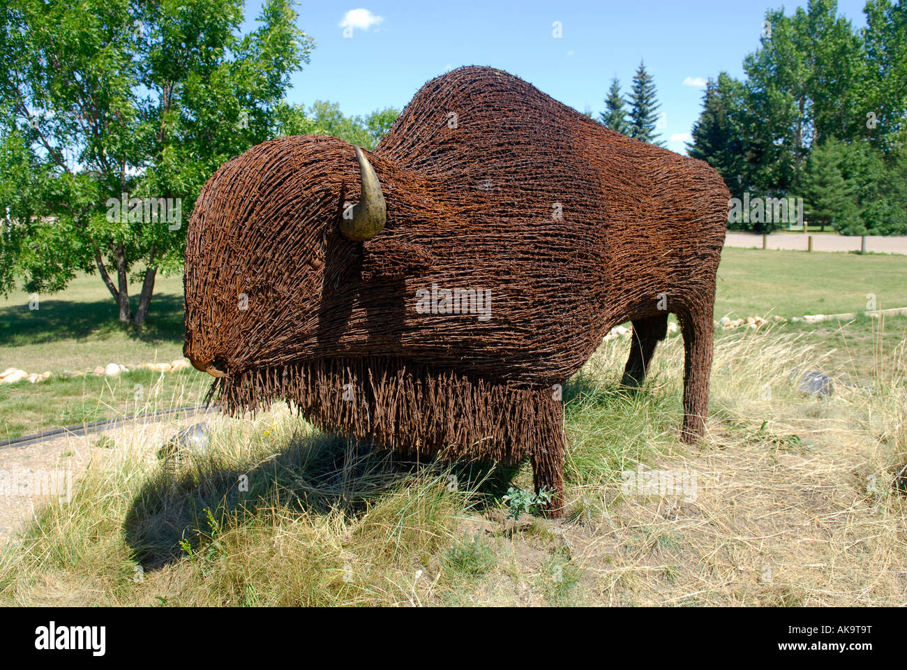 Barbed Wire Bison Buffalo statue Don t Fence Me In sculptor Don Hefner ...