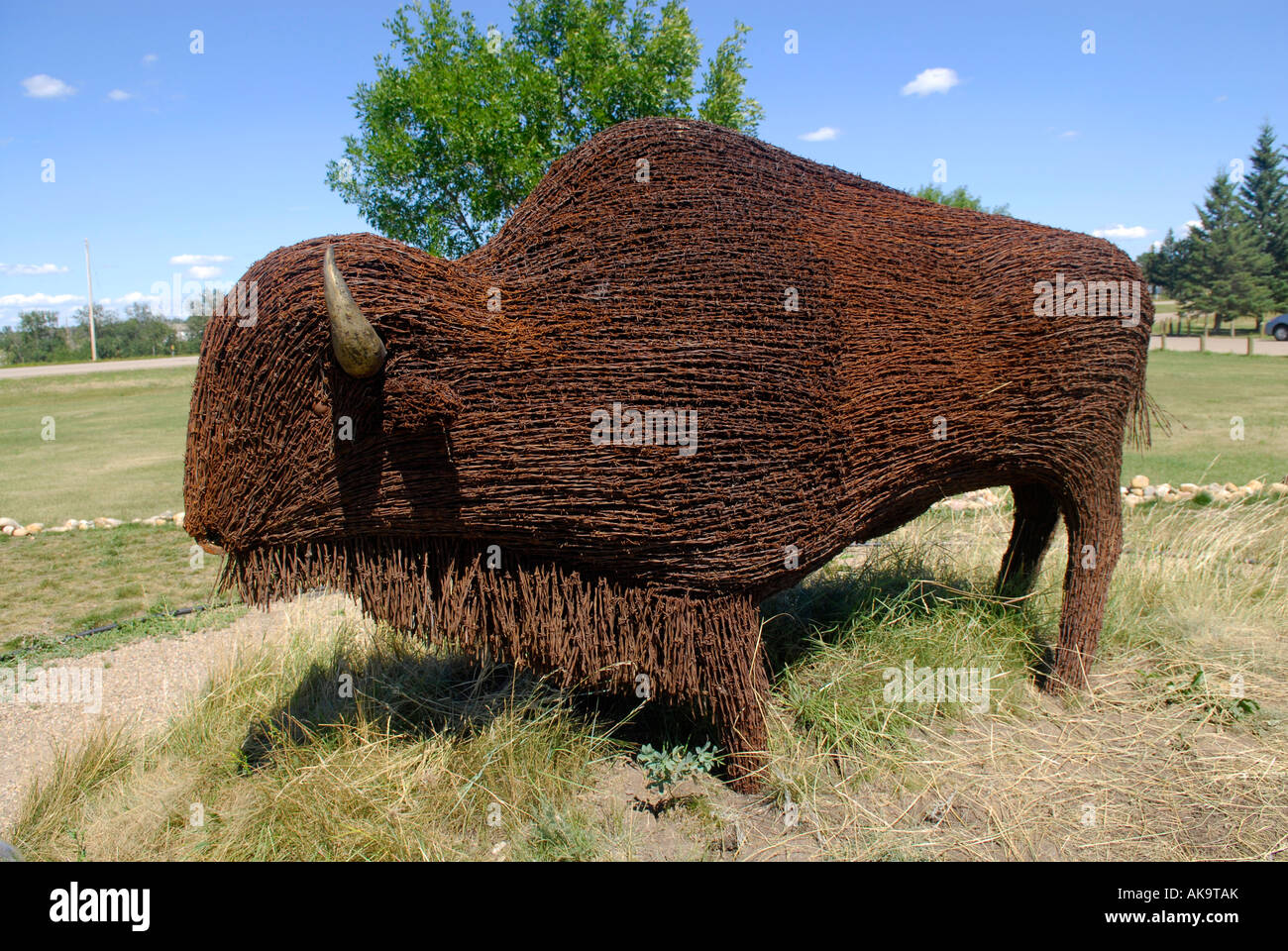 Barbed Wire Bison Buffalo statue Don t Fence Me In sculptor Don Hefner ...