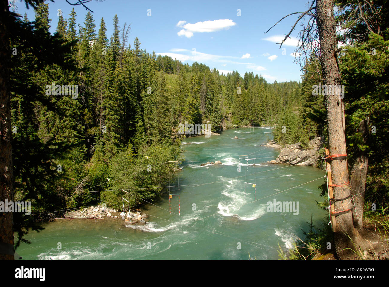 Whitewater Rafting Along Scenic Kananaskis River near Canadian Rocky ...