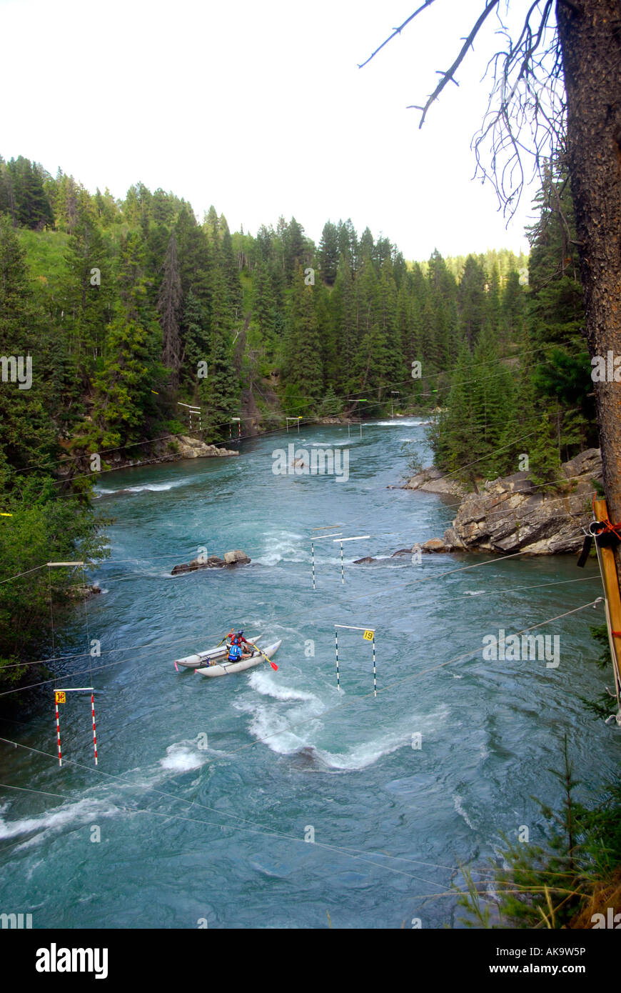 Whitewater Rafting Along Scenic Kananaskis River near Canadian Rocky ...