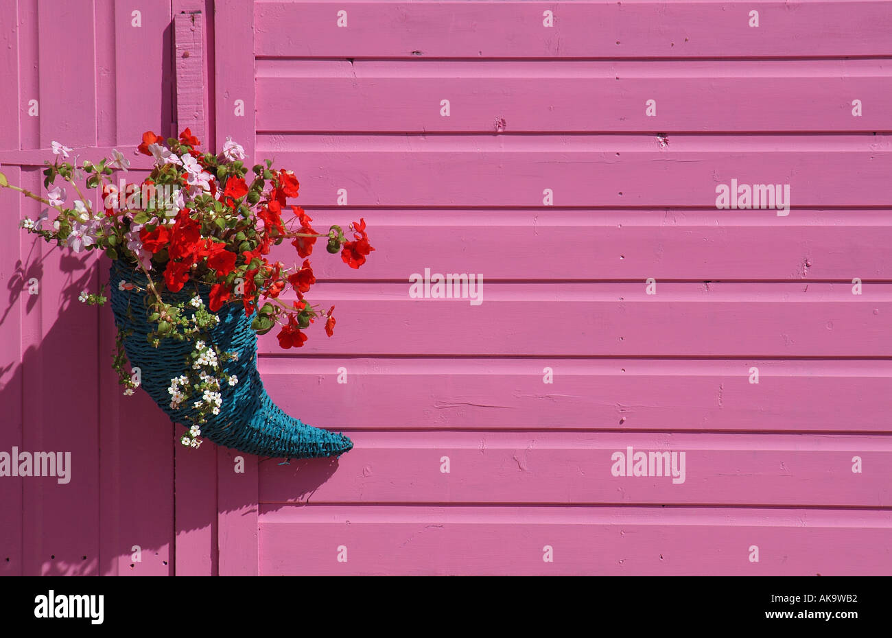 pink painted wooden shed wall Stock Photo - Alamy