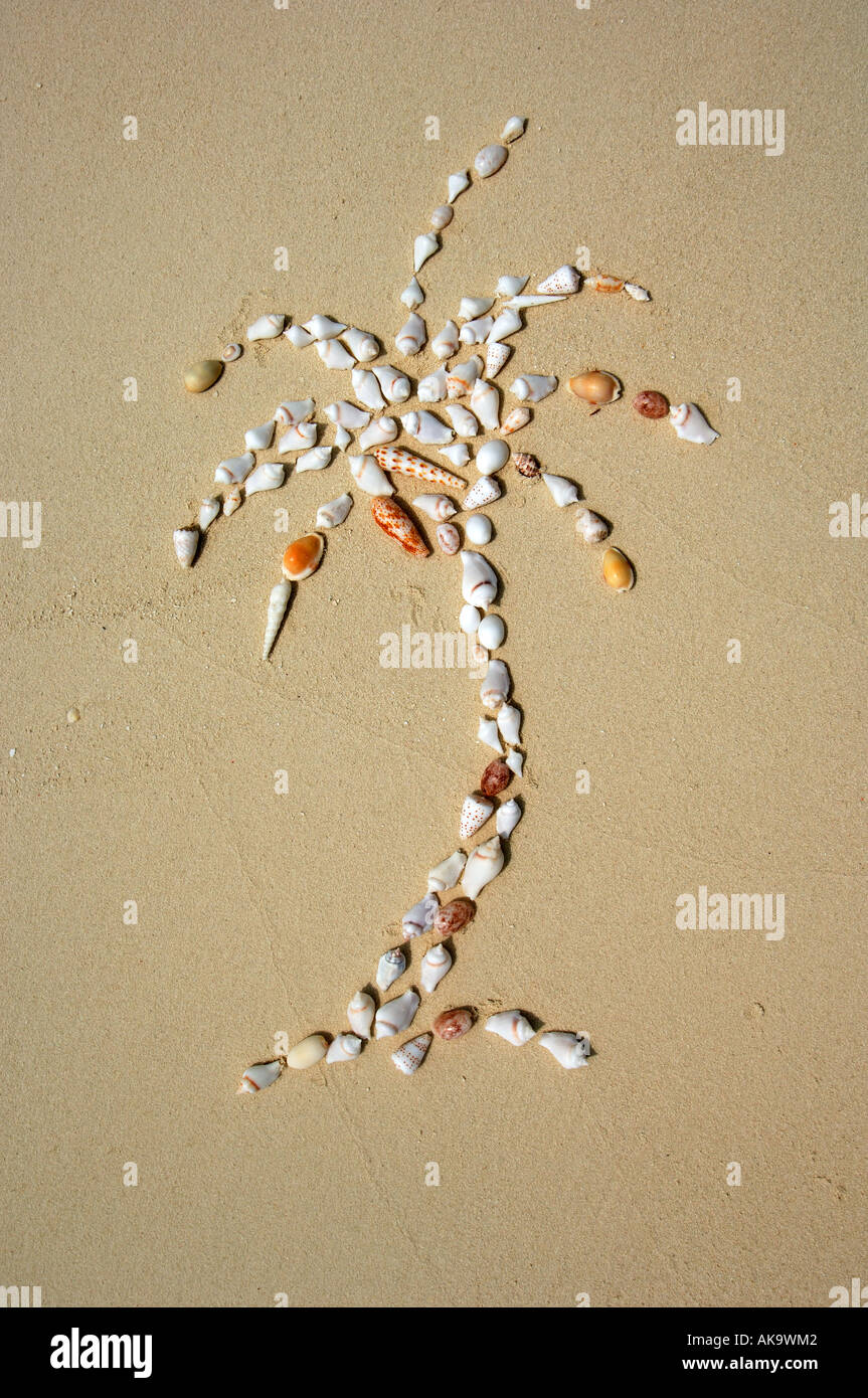 Maldives a palm tree made of shells Stock Photo - Alamy