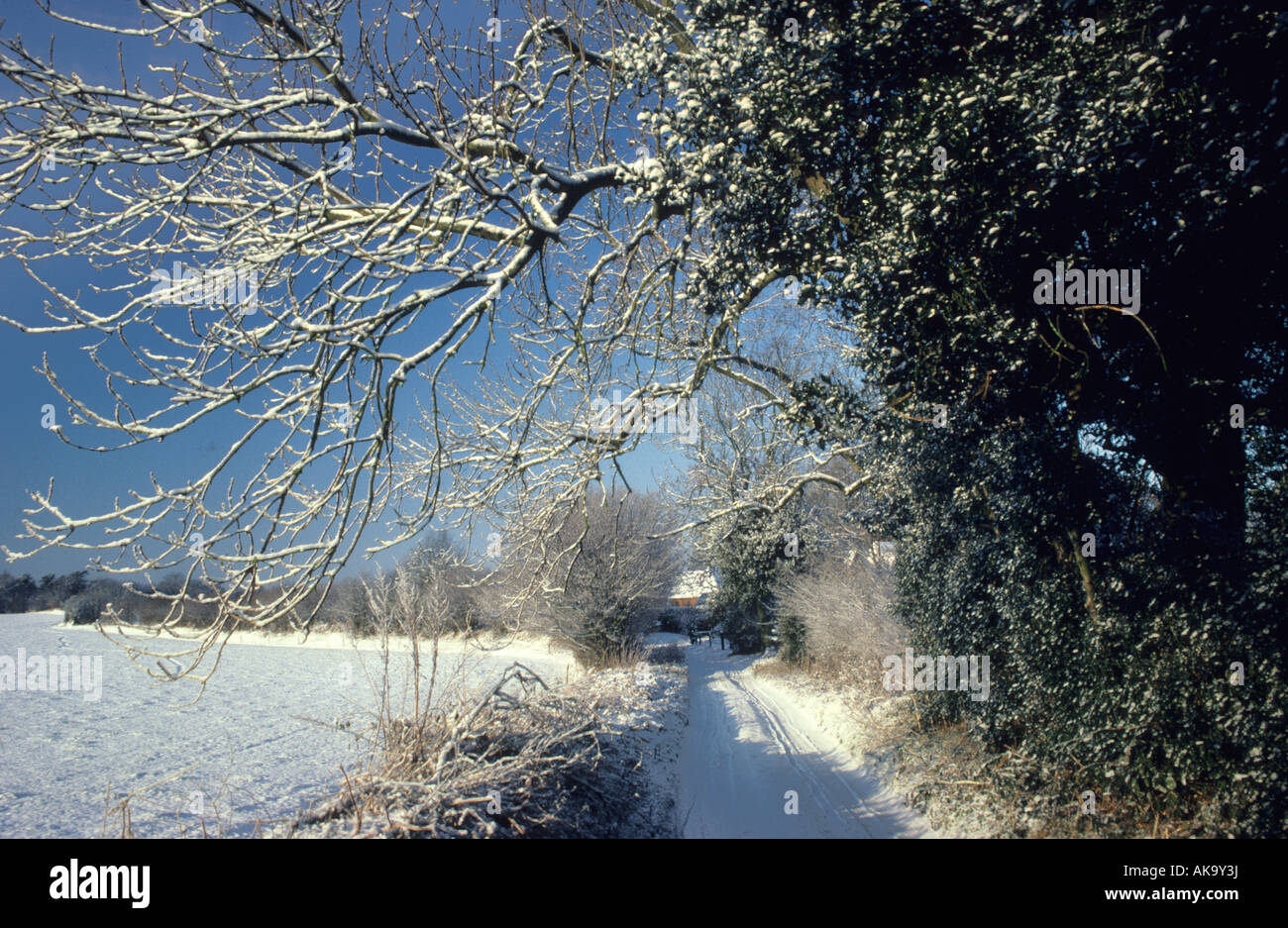 country lane Surrey snow covered scene Stock Photo - Alamy