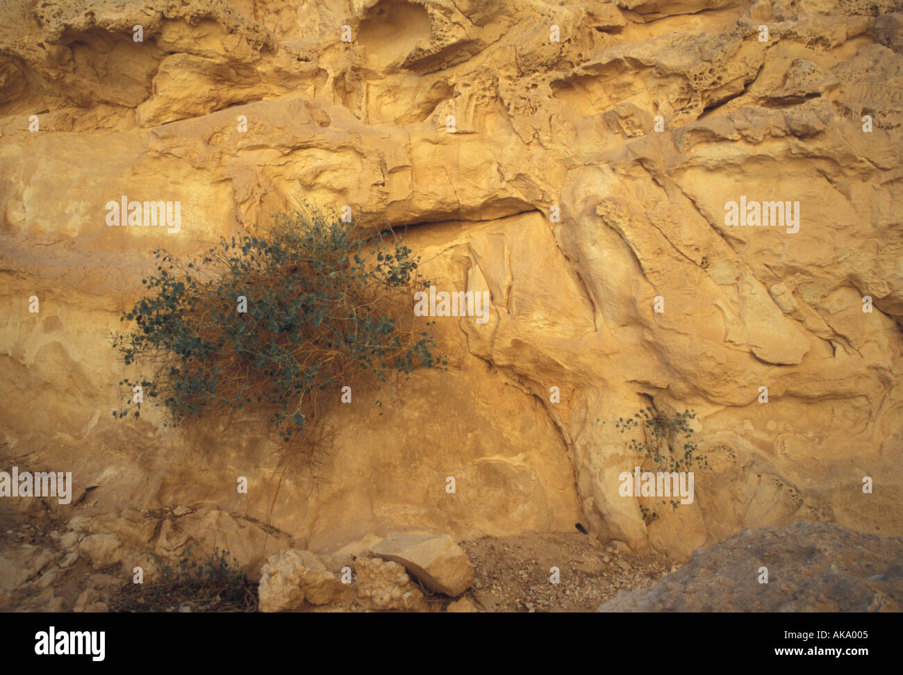 Desert Scene 7 Stock Photo - Alamy