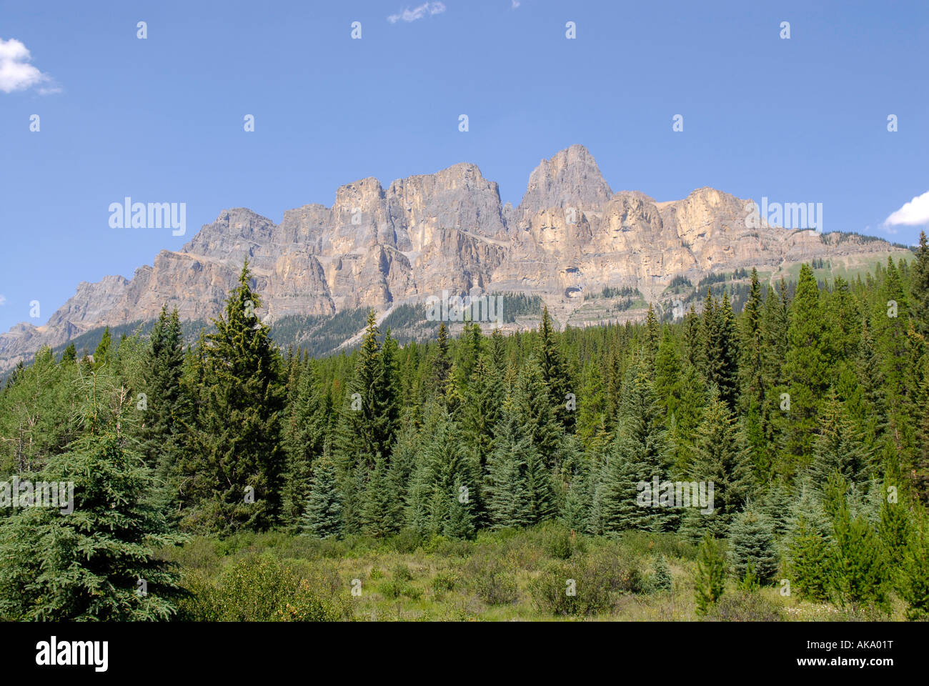 Castle Cliffs Mountains Banff Alberta Canada Canadian Rockies Canadian ...