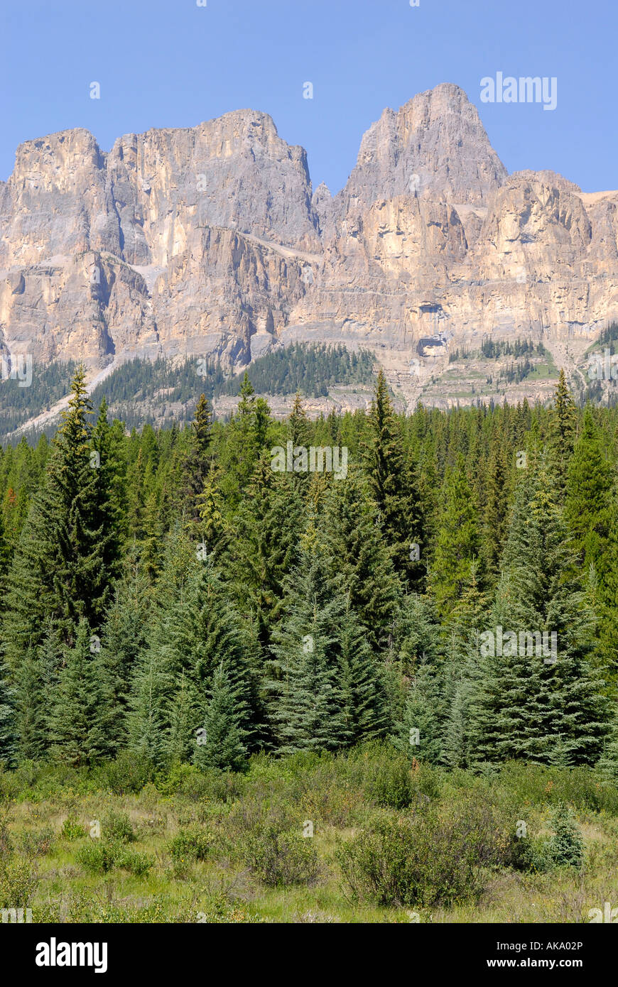 Castle Cliffs Mountains Banff Alberta Canada Canadian Rockies Canadian ...