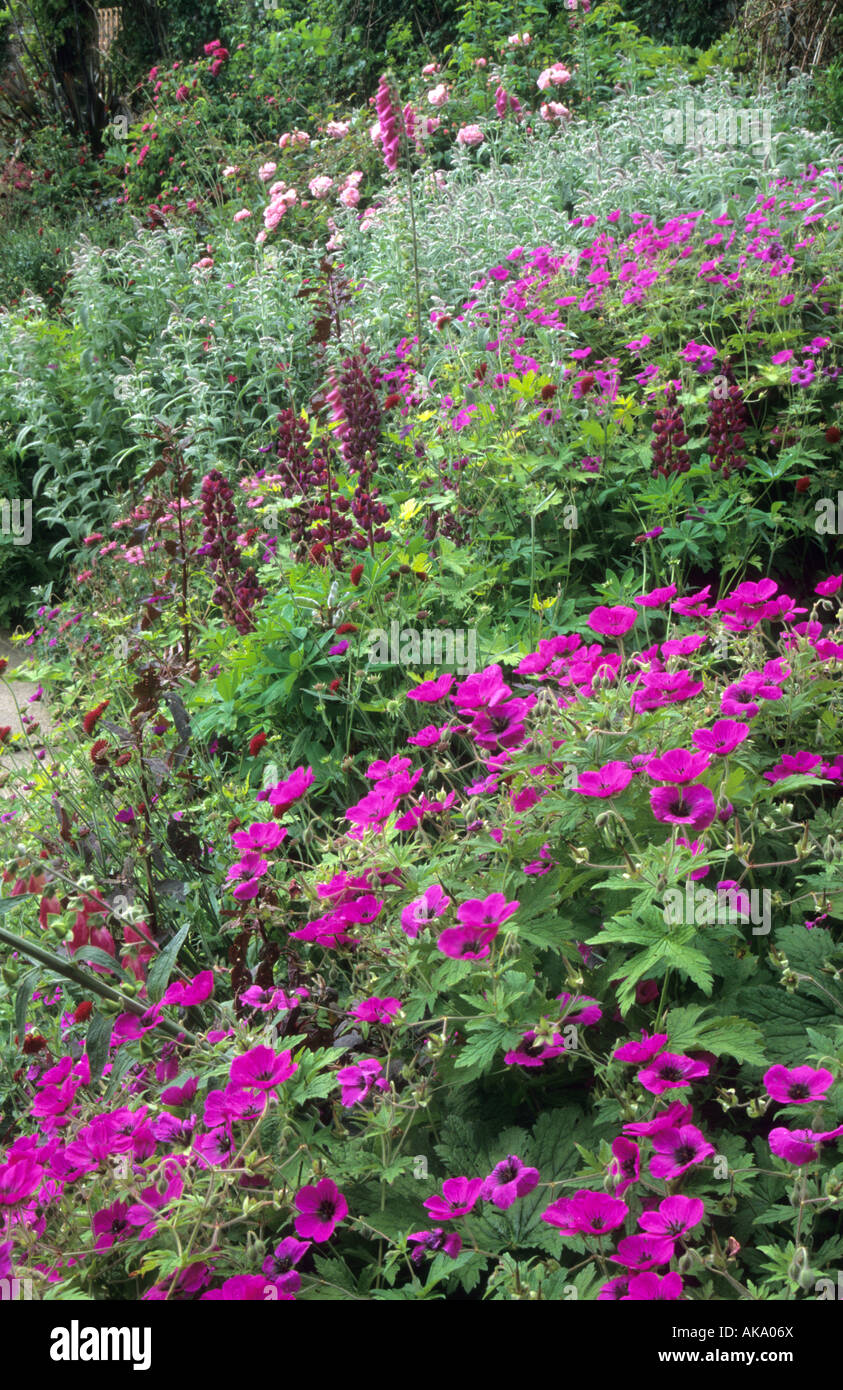 Hadspen house colour garden hi-res stock photography and images - Alamy