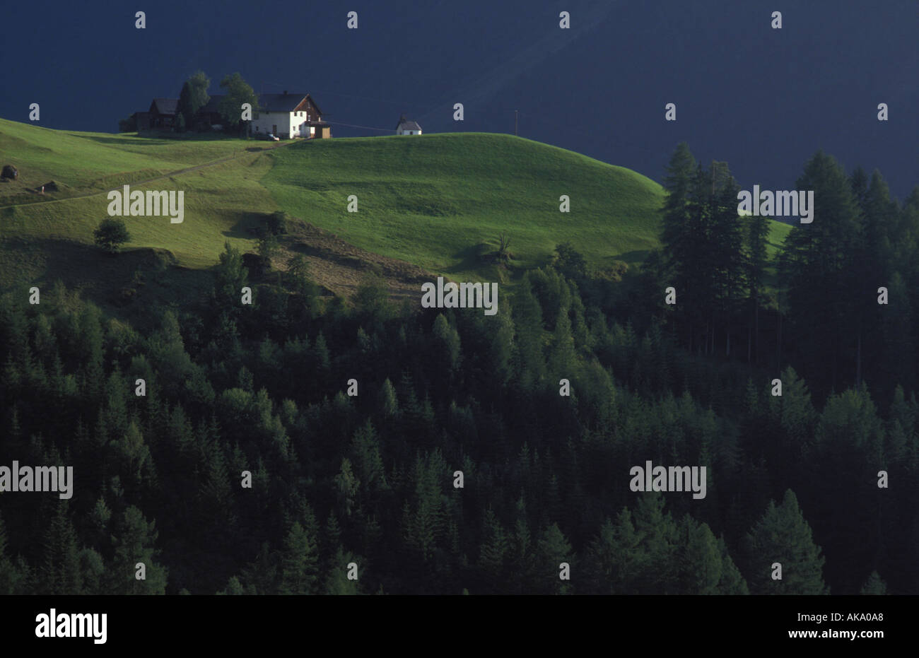 Single Farm House, Farm on Top of a Hill, Oetz Valley, Austria Stock ...