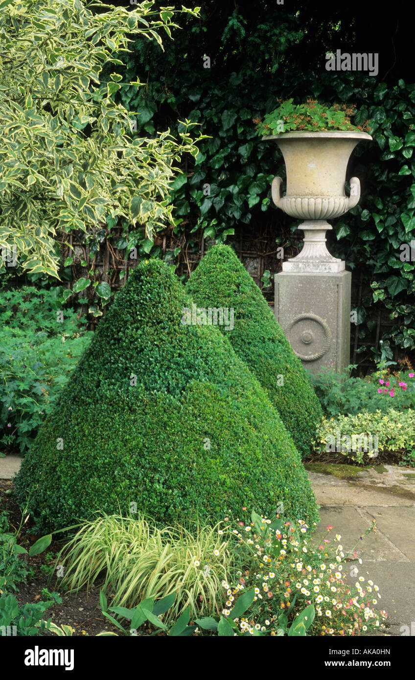 the Dillon Garden Dublin boxwood geometric topiary cones with urn Stock ...