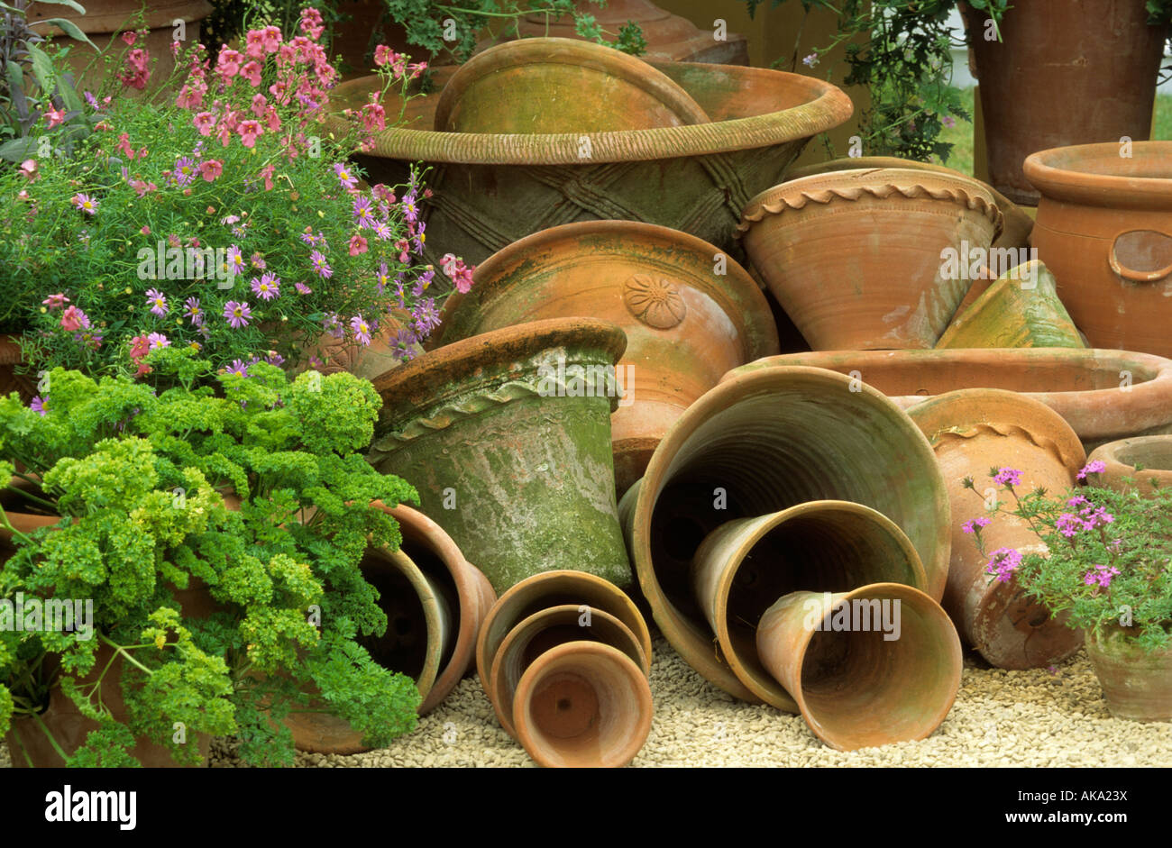 Whichford Pottery Warwickshire collection of terracotta pots Stock ...