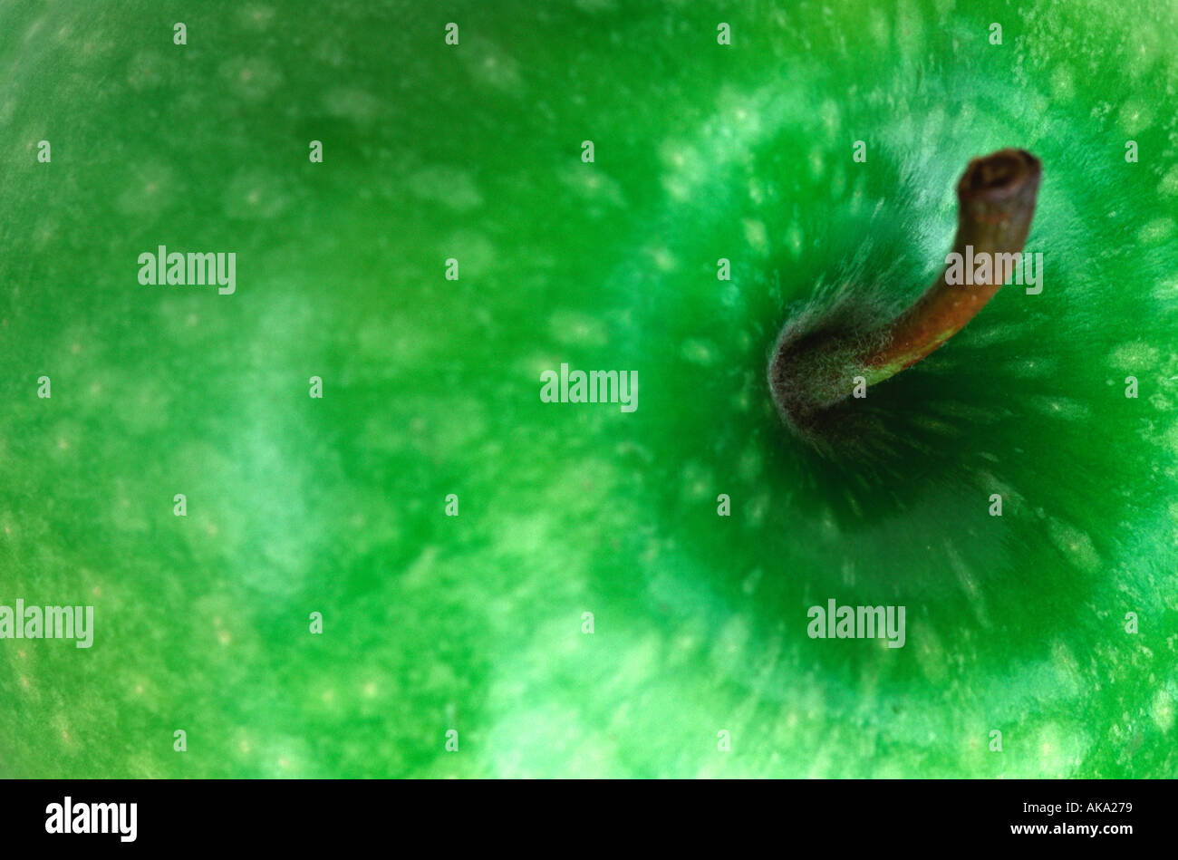 Green stalk hi-res stock photography and images - Alamy