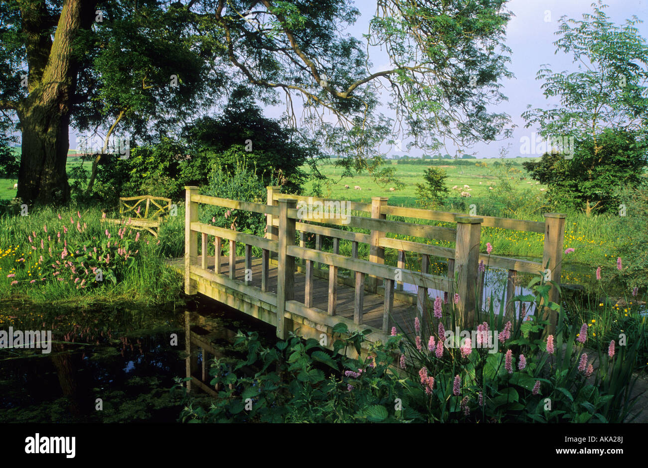 Wollerton Old Hall Shropshire wooden observation bridge over natural ...