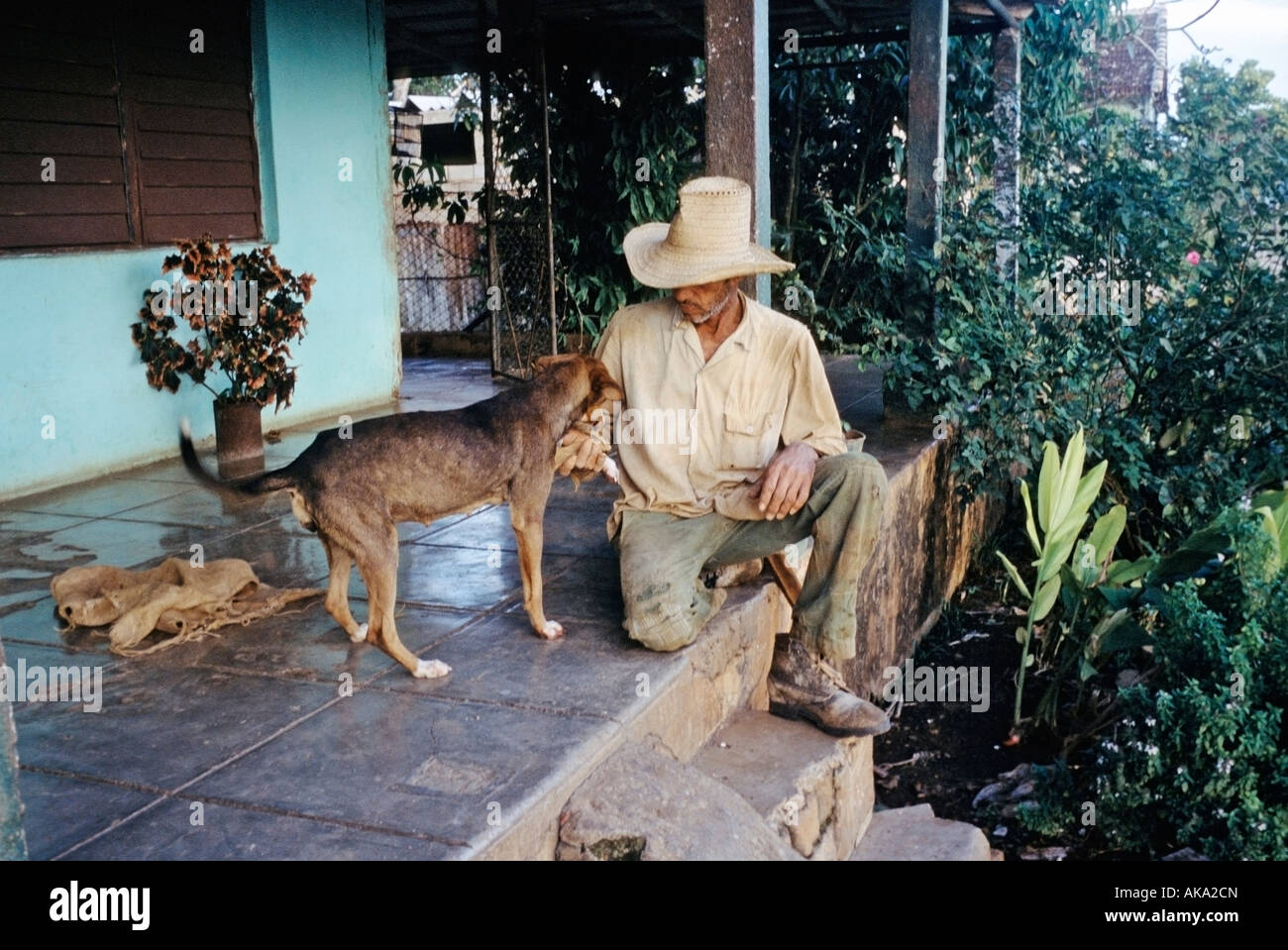 Cuban agricultural worker with pet dog Stock Photo - Alamy