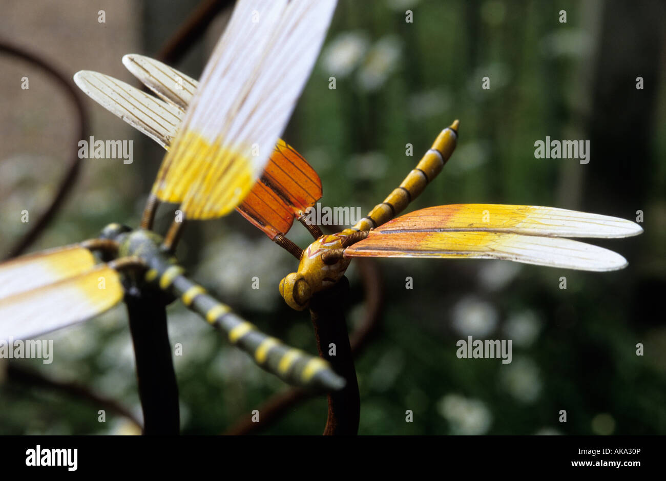 dragonfly sculptures by Steve Jackman Stock Photo - Alamy