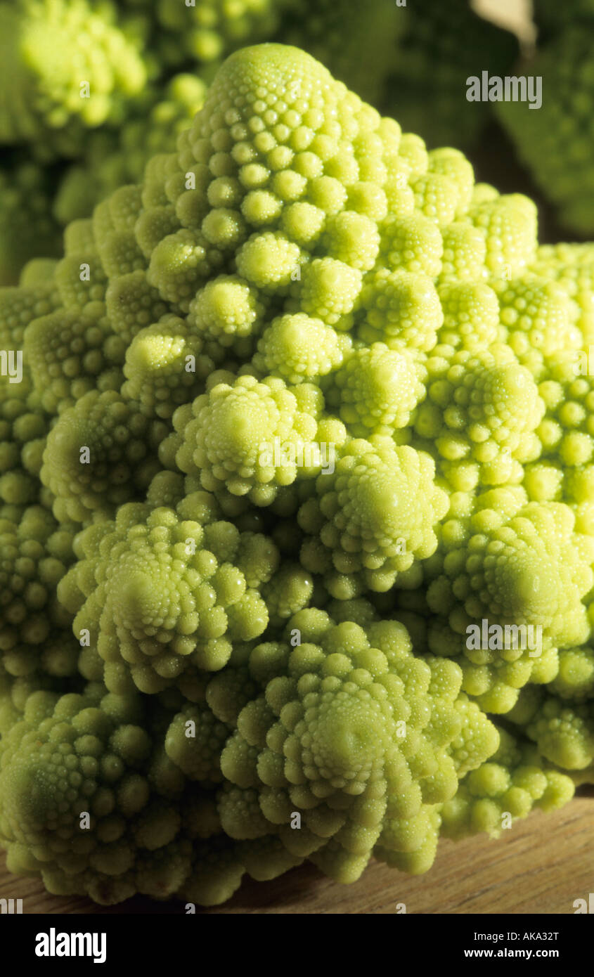 mini Cauliflower Romanesco vegetable Stock Photo - Alamy