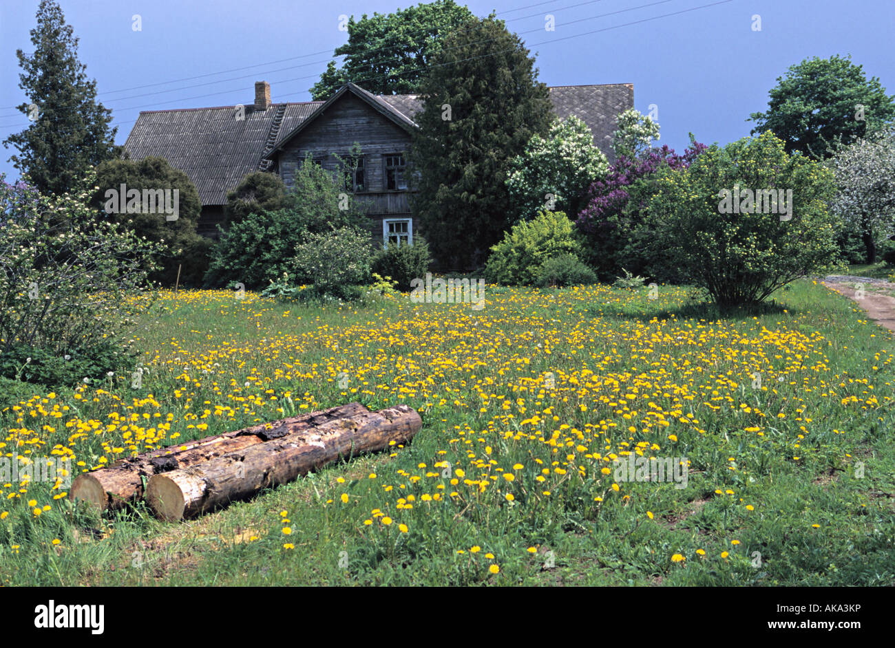 Springtime bloom in countryside Stock Photo - Alamy