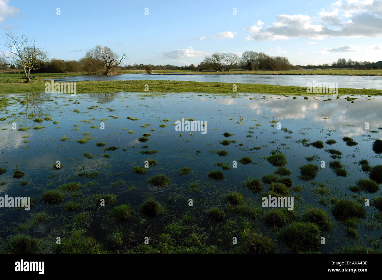 Bog burst hi-res stock photography and images - Alamy