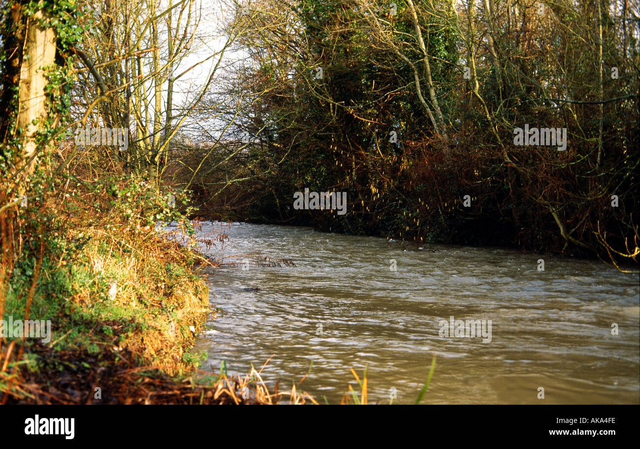 River Windrush Witney Stock Photo - Alamy