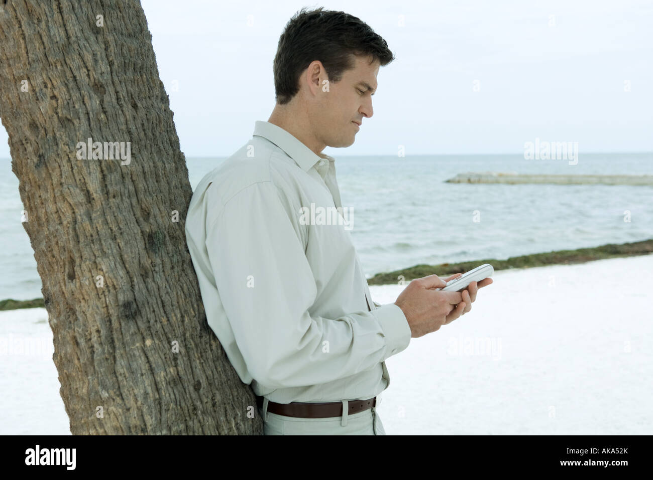 Man leaning against tree trunk at the beach, looking at cell phone ...