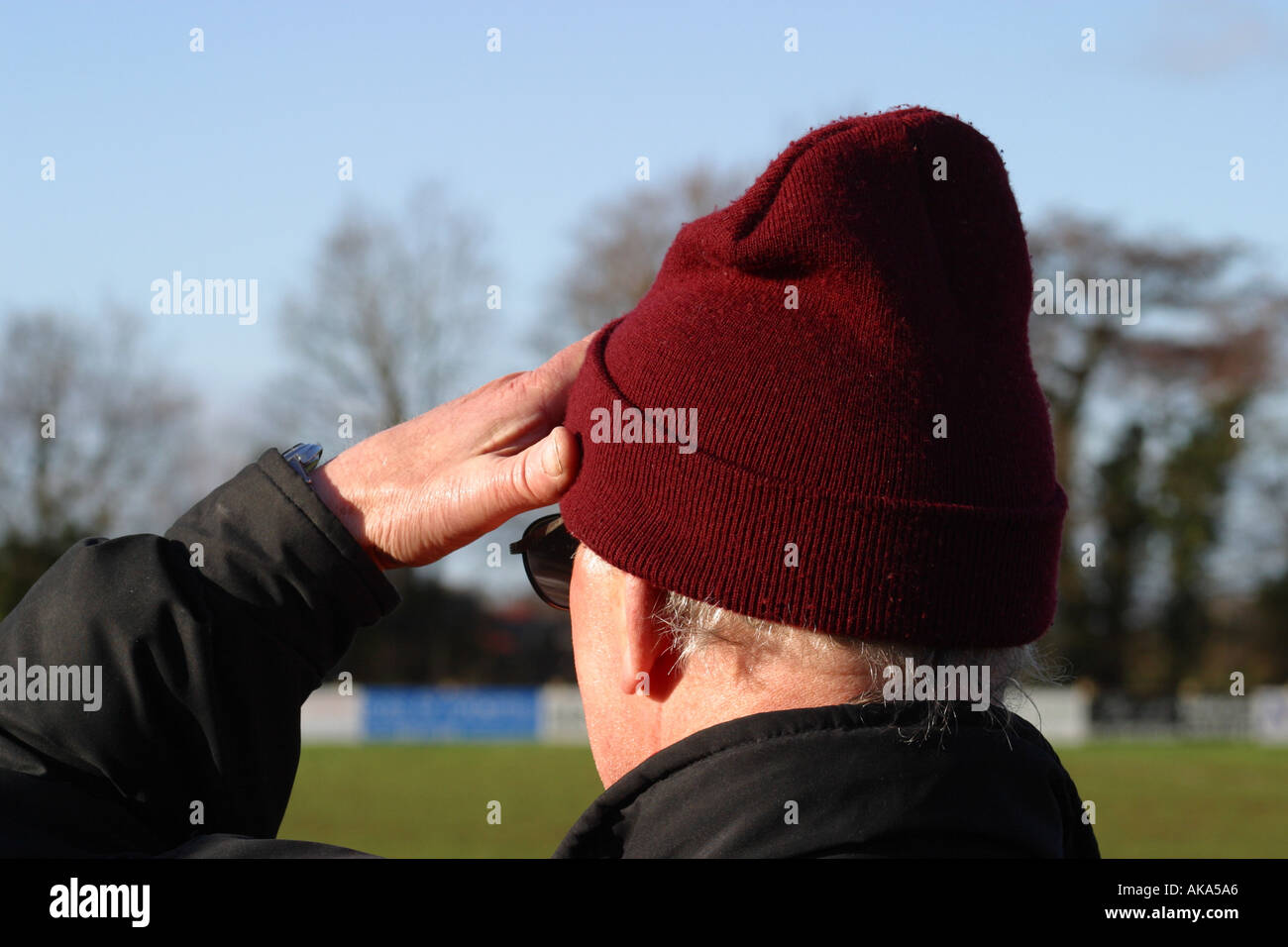 Lone sport spectator watching a winter game of rugby Stock Photo - Alamy