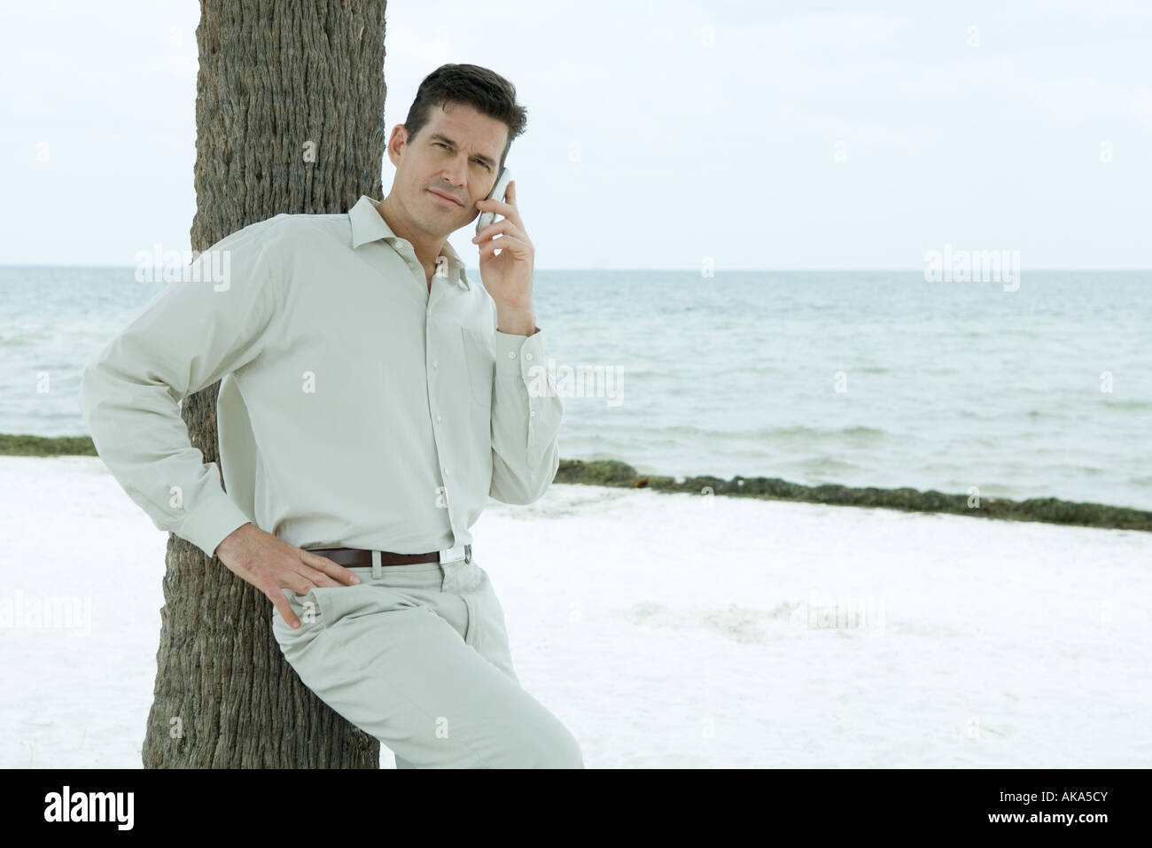 Tree trunks leaning over water hi-res stock photography and images - Alamy