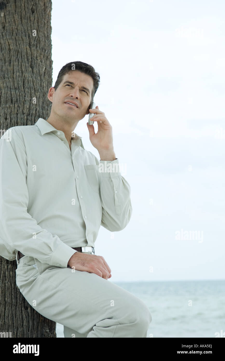 Man leaning against palm tree trunk, using cell phone, looking up Stock ...