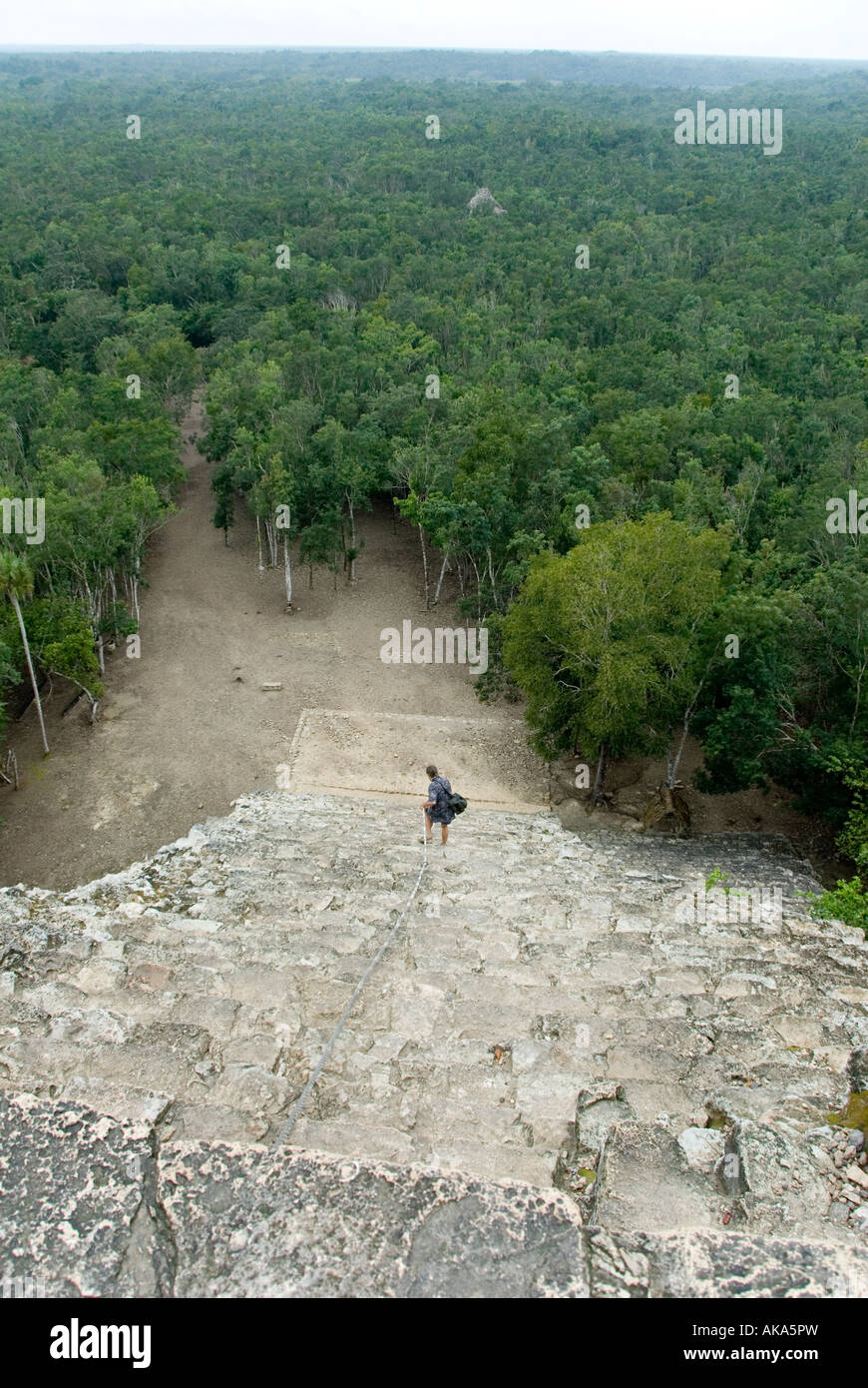 Looking Down Steep Steps to Jungle Canopy and Man Descending Nohoch Mul ...