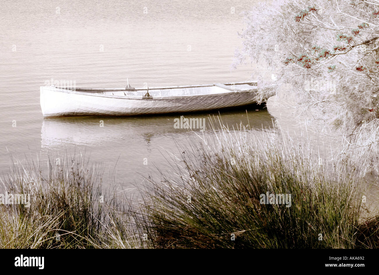 old rowing boat at rest Stock Photo - Alamy