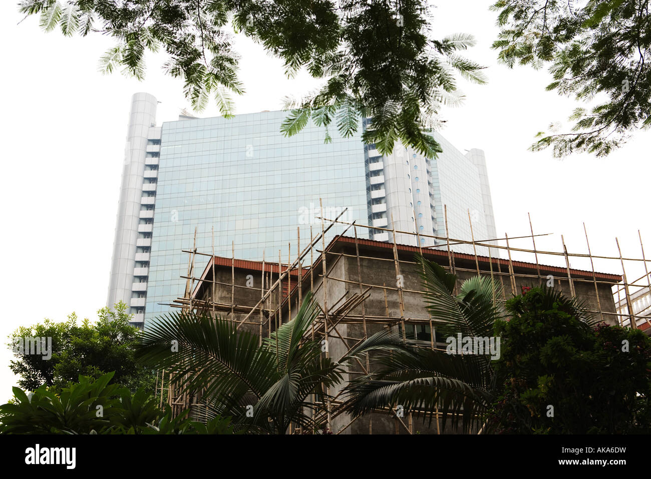 Bamboo scaffolding around building, modern high rise in background ...