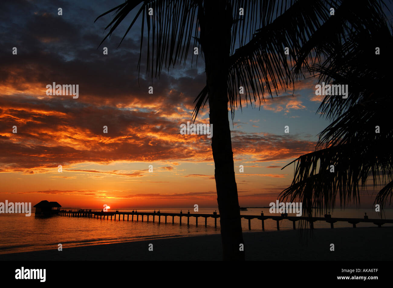 Jetty on maldivian island maldives hi-res stock photography and images ...