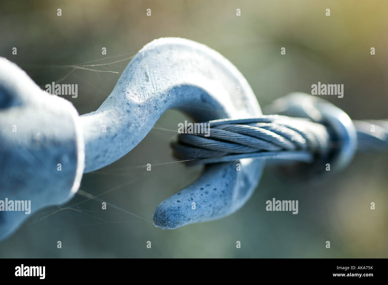Hook connected to rope, covered with spiderwebs Stock Photo - Alamy