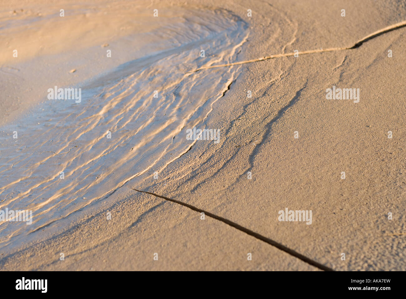 Drying puddle texture hi-res stock photography and images - Alamy