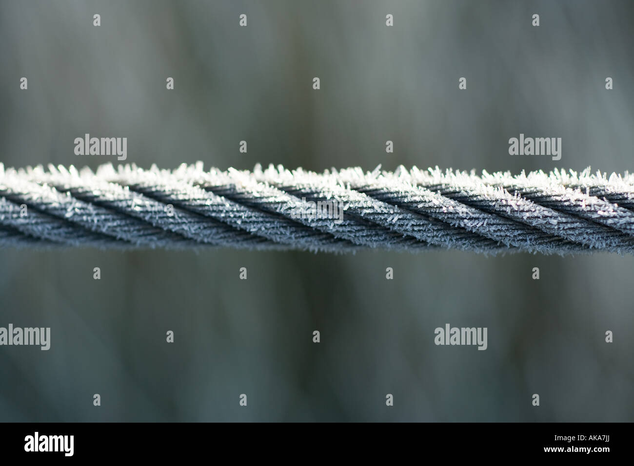 Tense ropes hi-res stock photography and images - Alamy