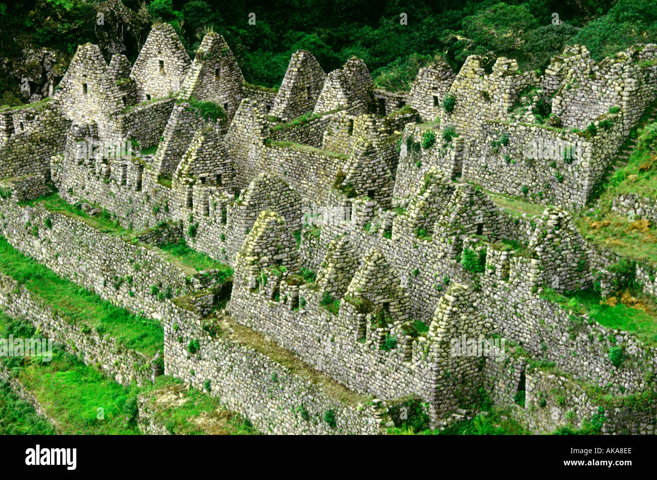 Inca hi-res stock photography and images - Alamy