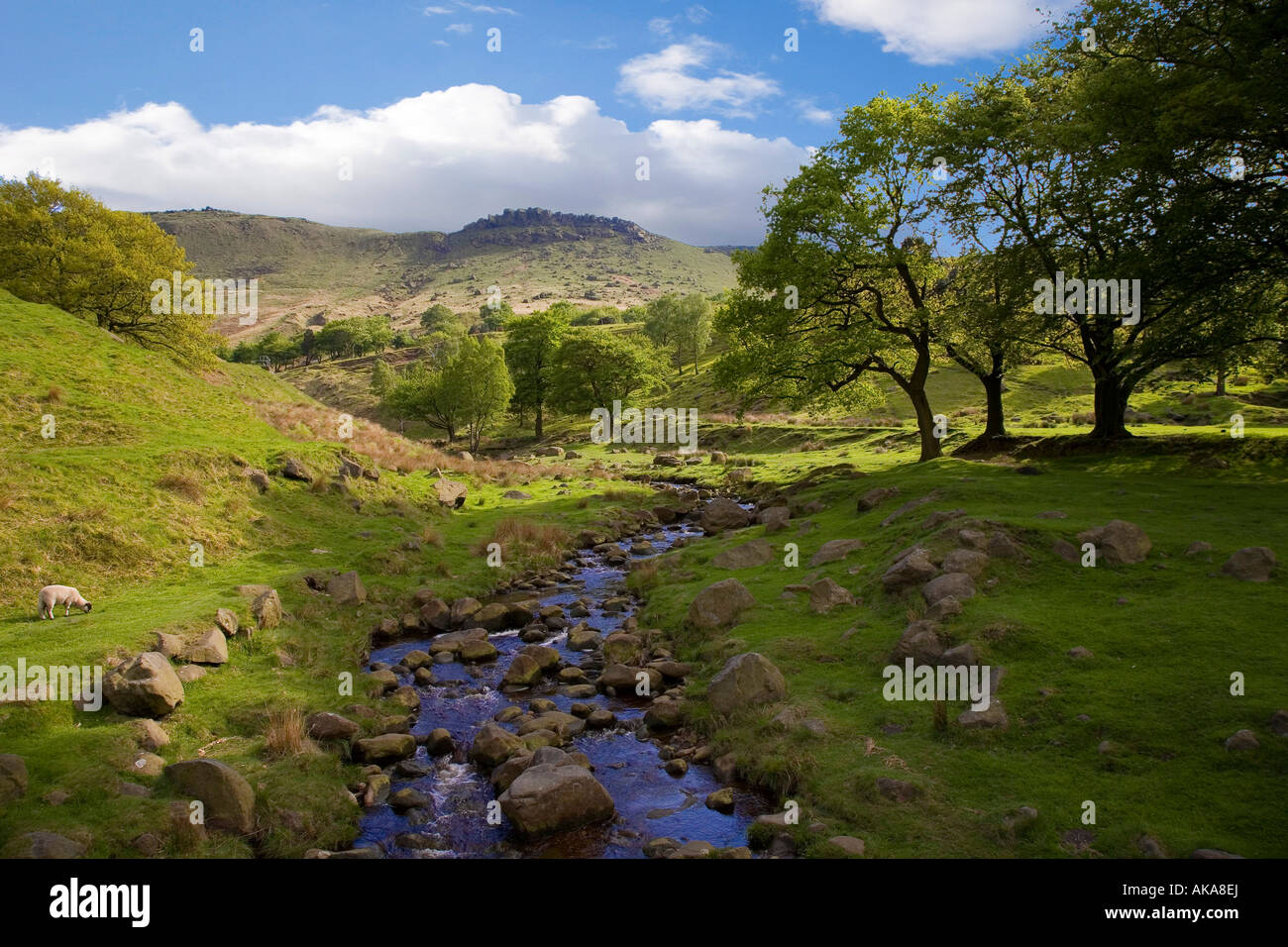 Dovestones edge hi-res stock photography and images - Alamy