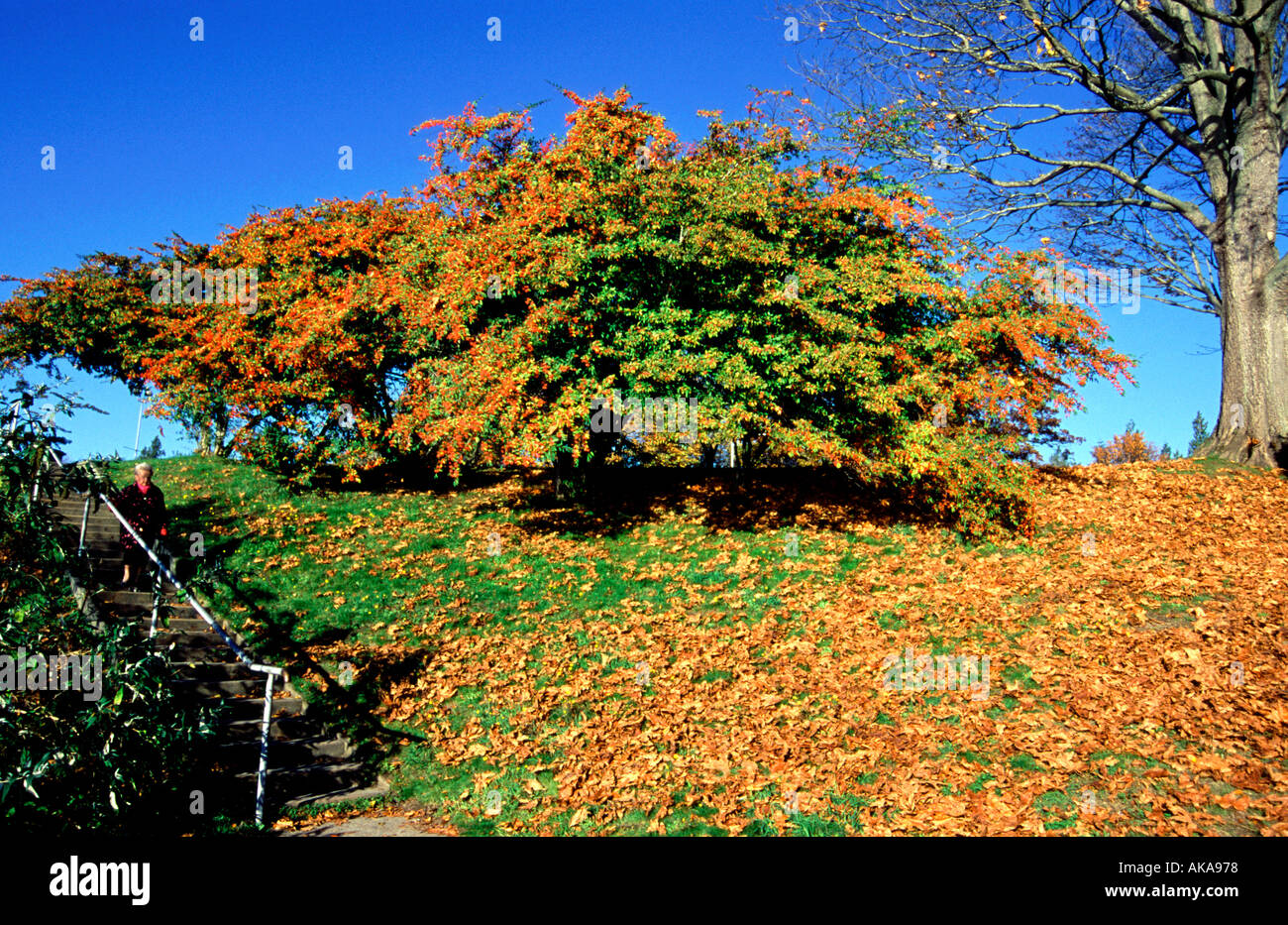 Indian seawall hi-res stock photography and images - Alamy