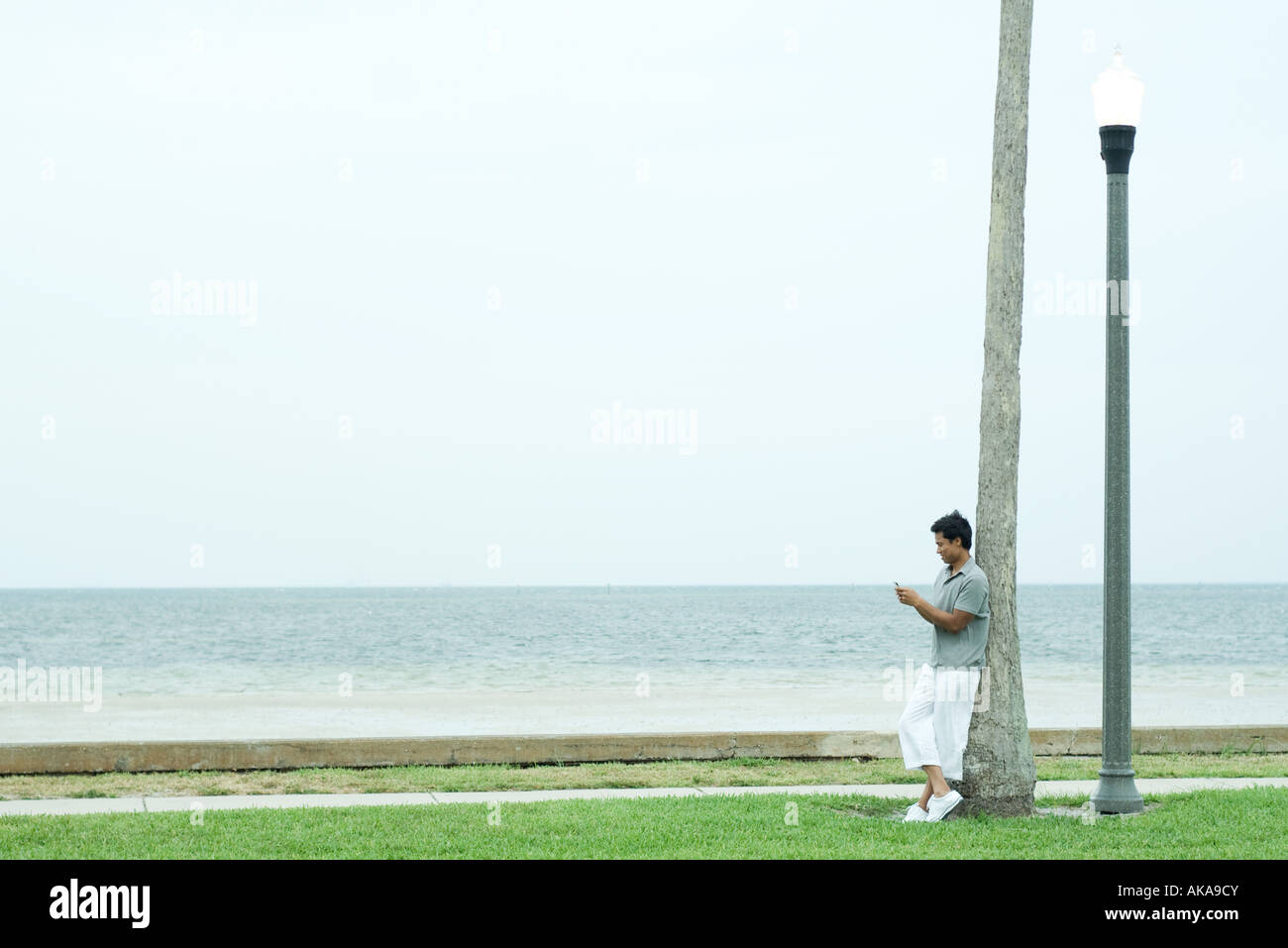 Man leaning against tree trunk, looking down at cell phone, full length ...