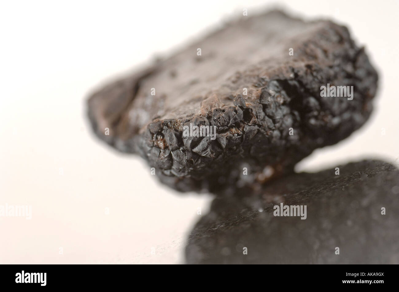 Half a truffle Stock Photo - Alamy