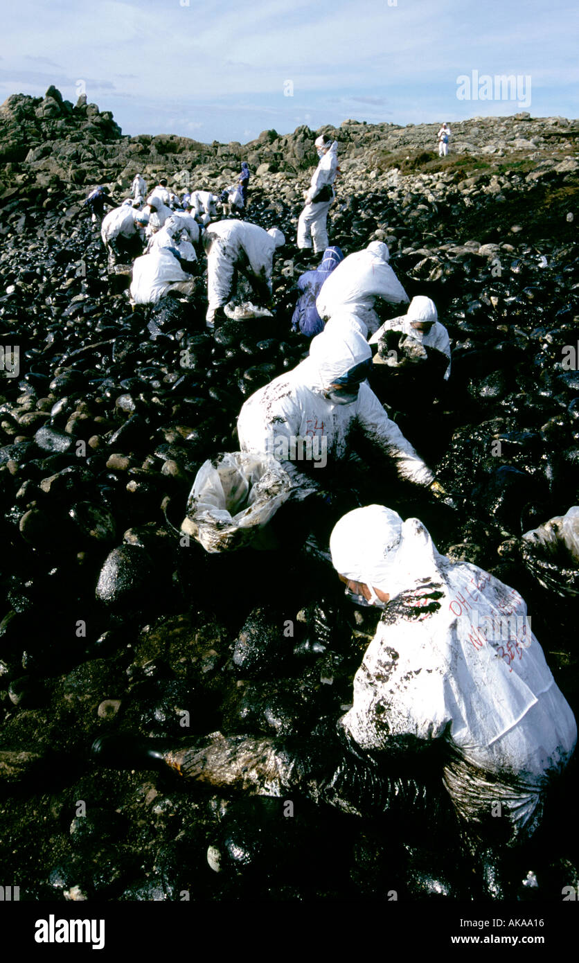 Prestige oil disaster volunteer hi-res stock photography and images - Alamy