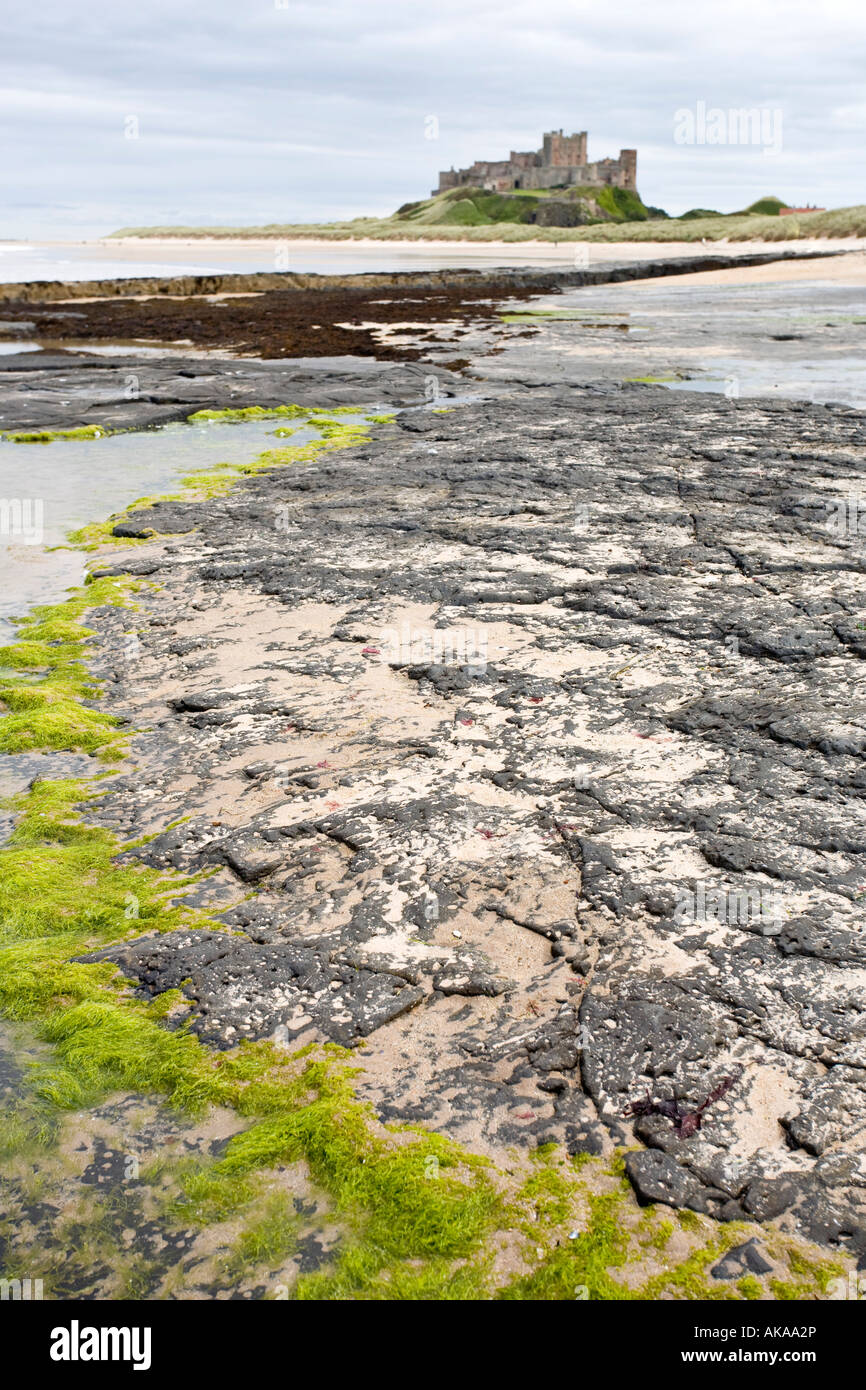 Wide angle photograph of Northumberland shoreline with Bamburgh castle ...