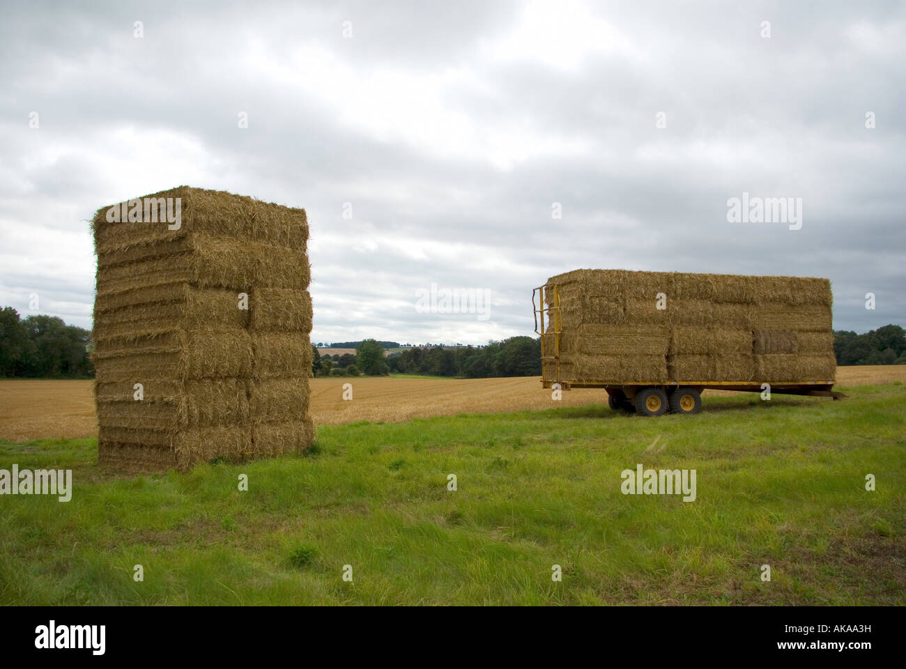 Hay in trailer hi-res stock photography and images - Alamy