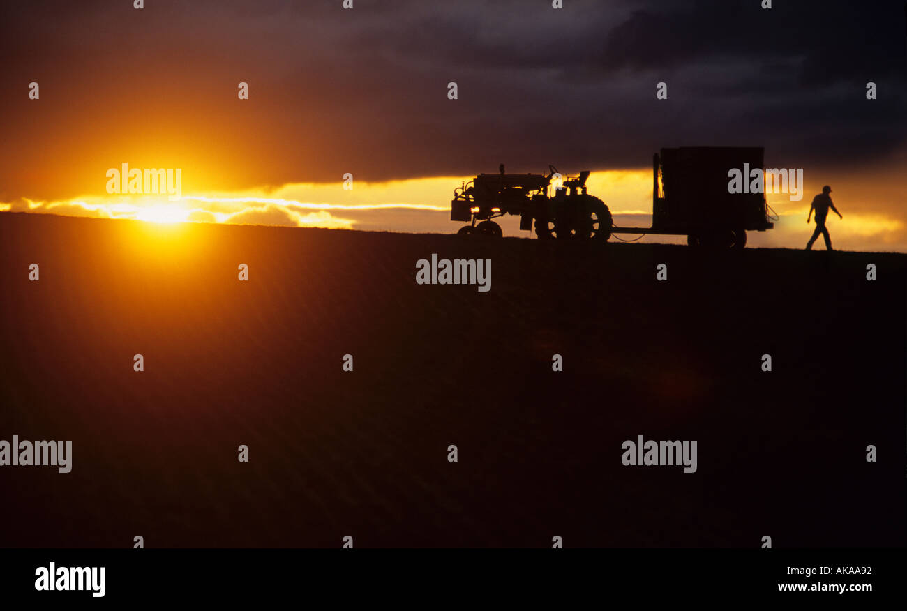 Sunset old tractor Stock Photo - Alamy