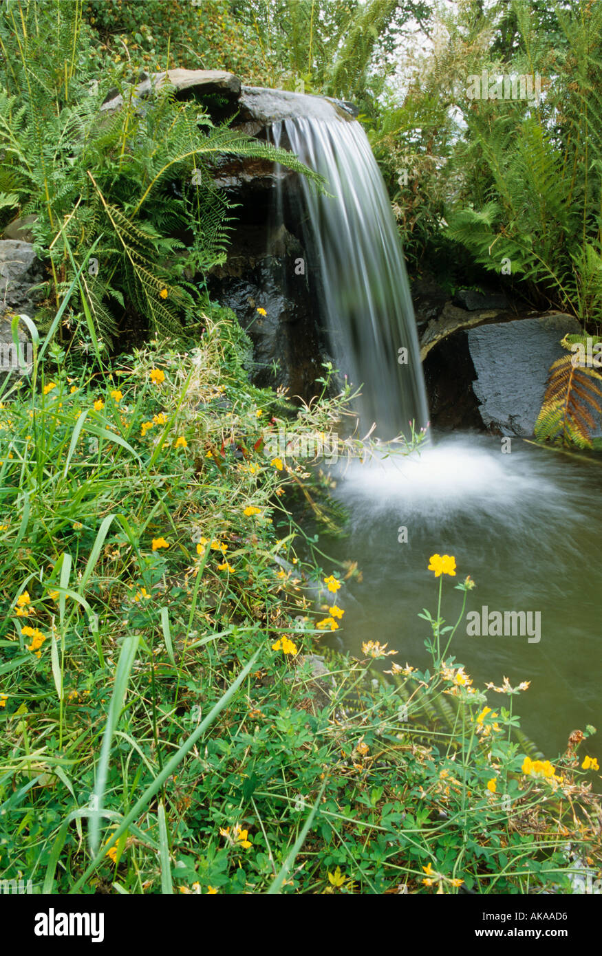 Back yard waterfall hi-res stock photography and images - Alamy