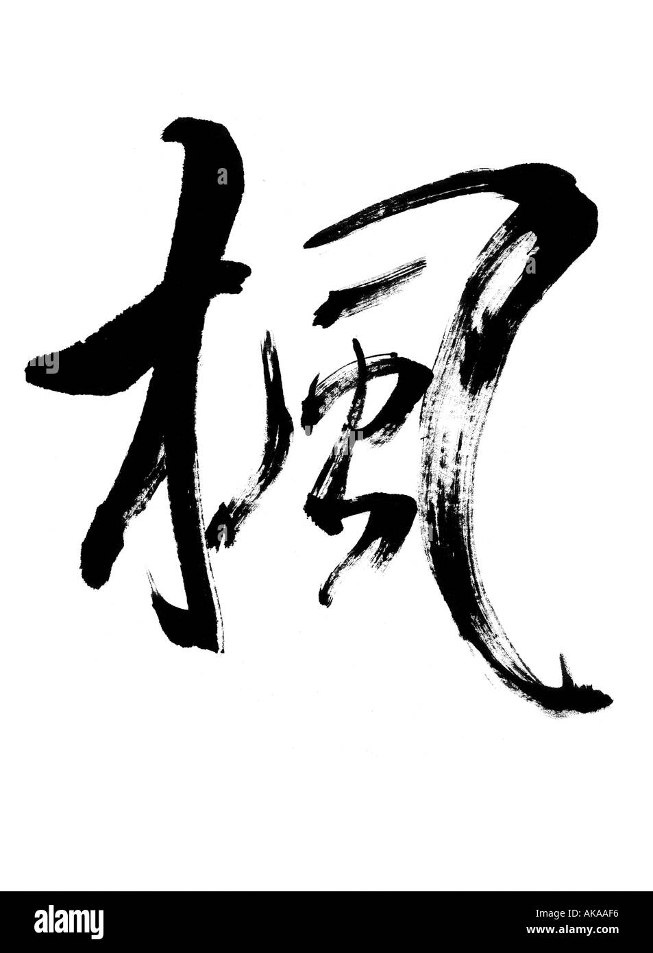 Japanese maple Black and White Stock Photos & Images - Alamy