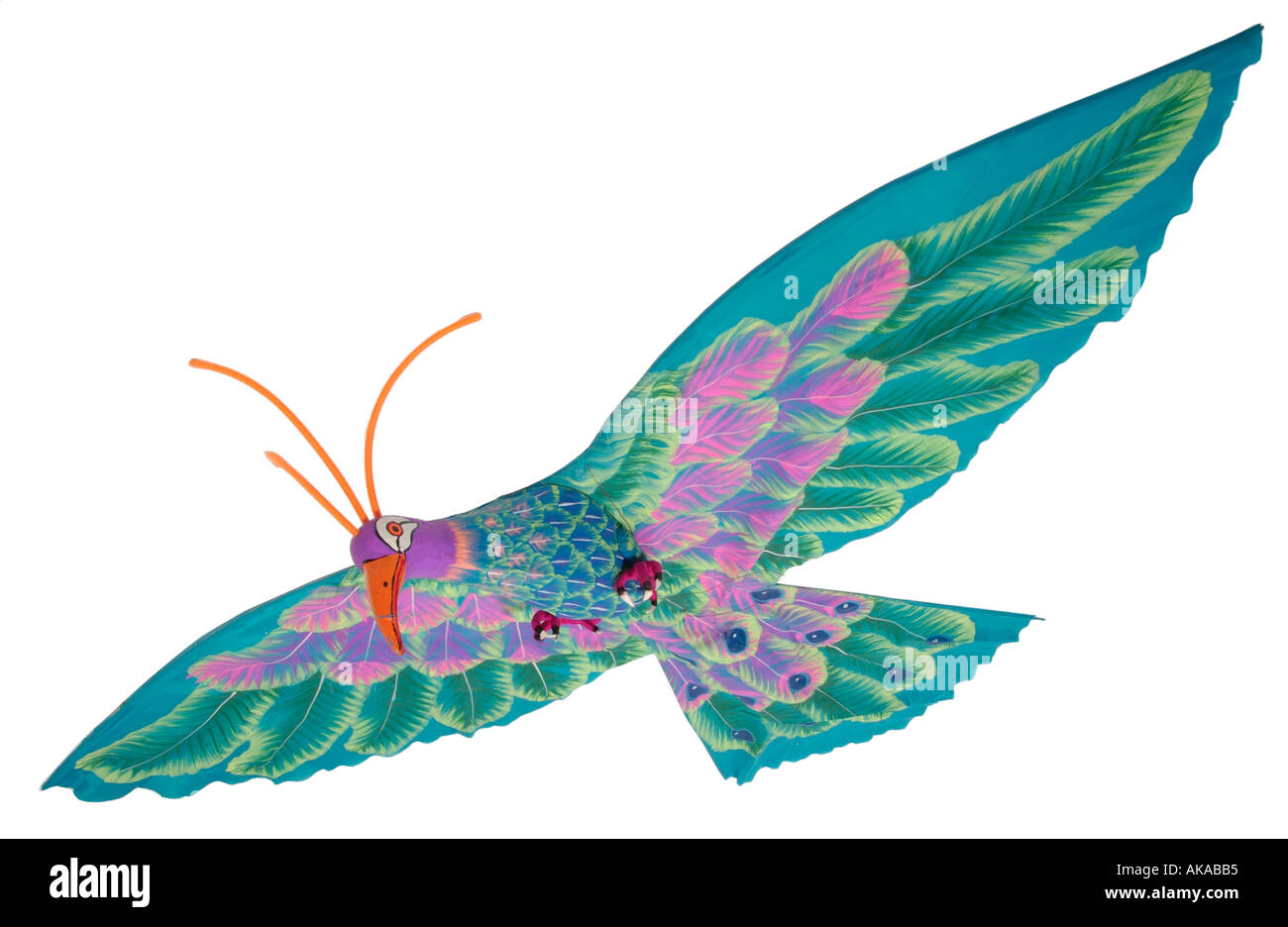 Bird lift Cut Out Stock Images & Pictures - Alamy