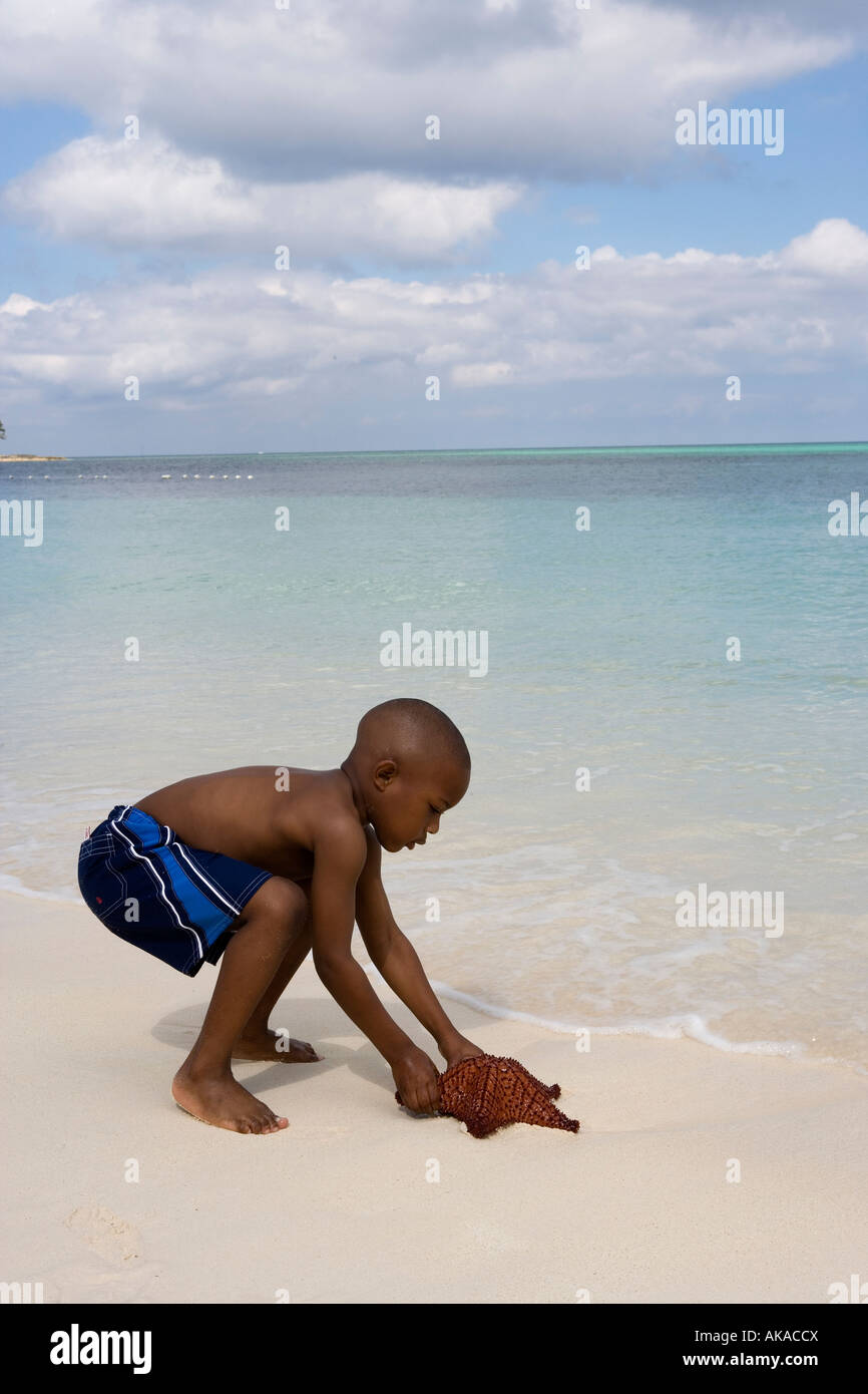 Starfish in shallow water hi-res stock photography and images - Alamy
